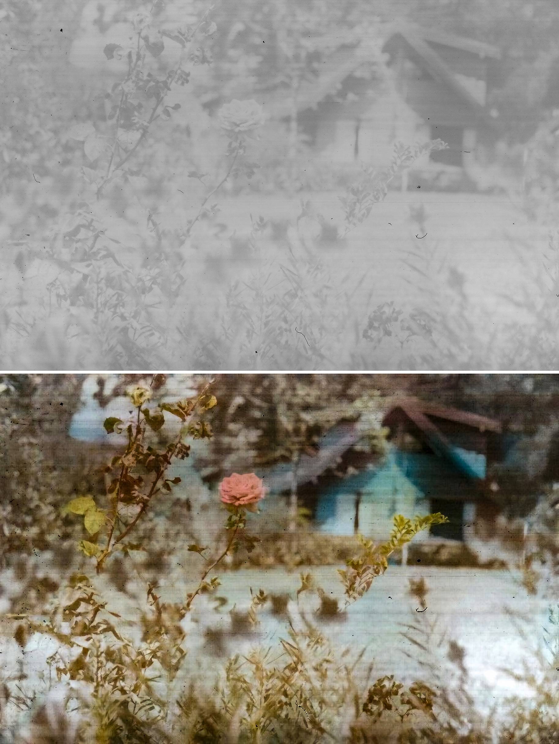 João Oliveira on Recoloring an Expired Slide Film with AI · Lomography