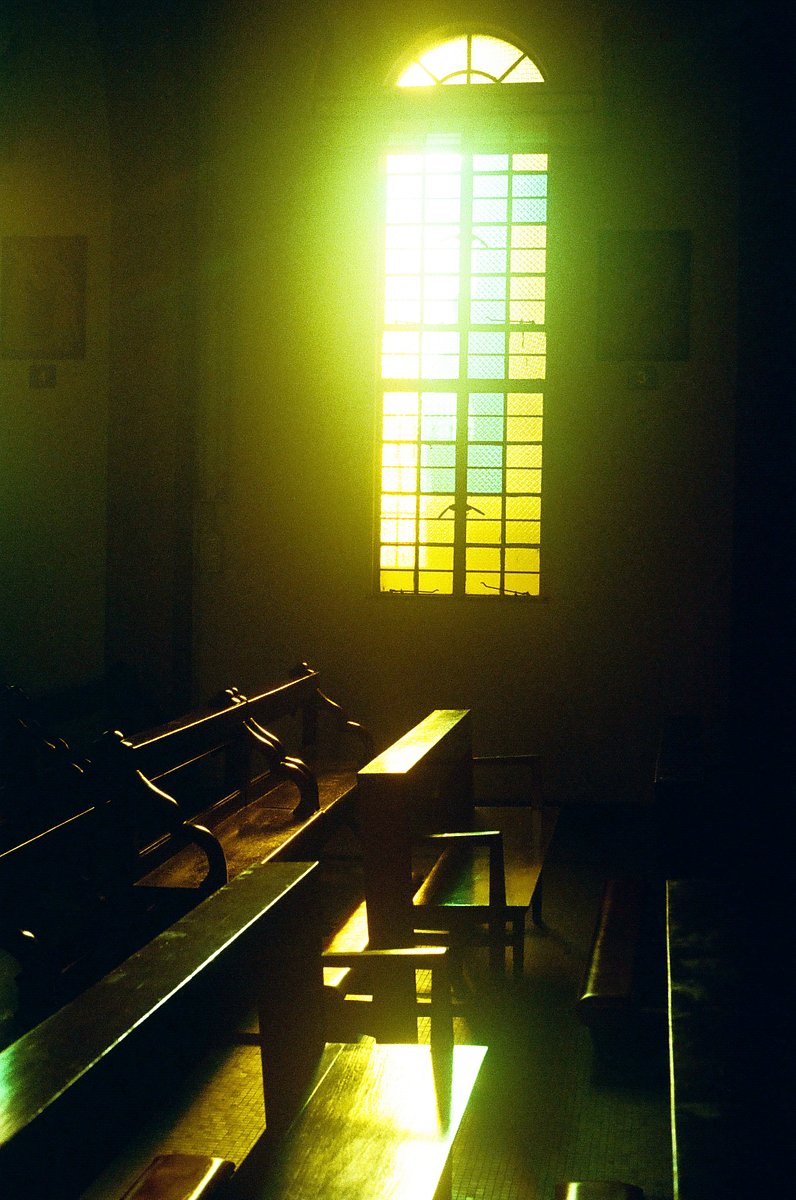 #25866019 — badkit · Lomography