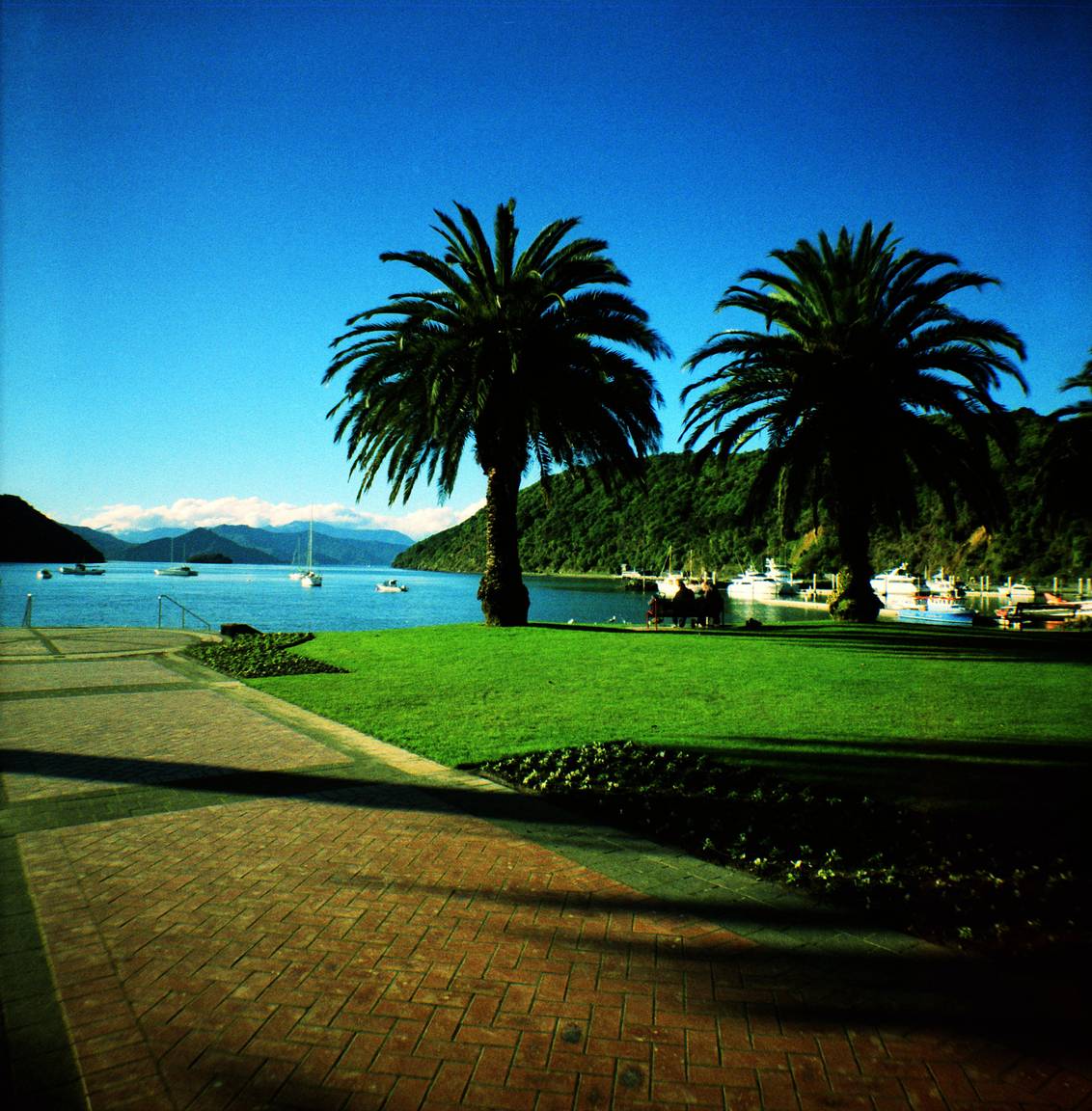 Marlborough Sounds, New Zealand · Lomography