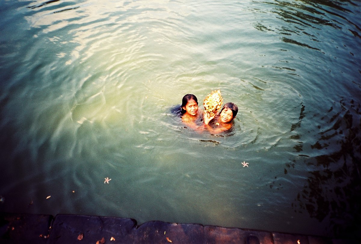 #14894402 — inine · Lomography