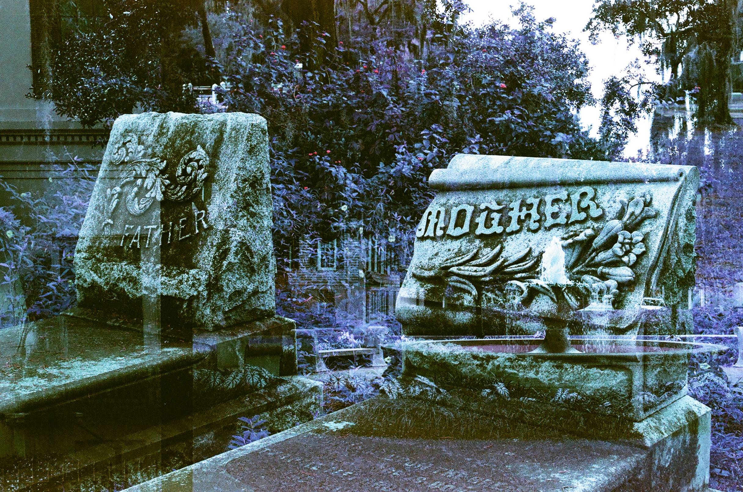 Matt Terell: Exploring Savannah with Lomo Chrome Purple · Lomography