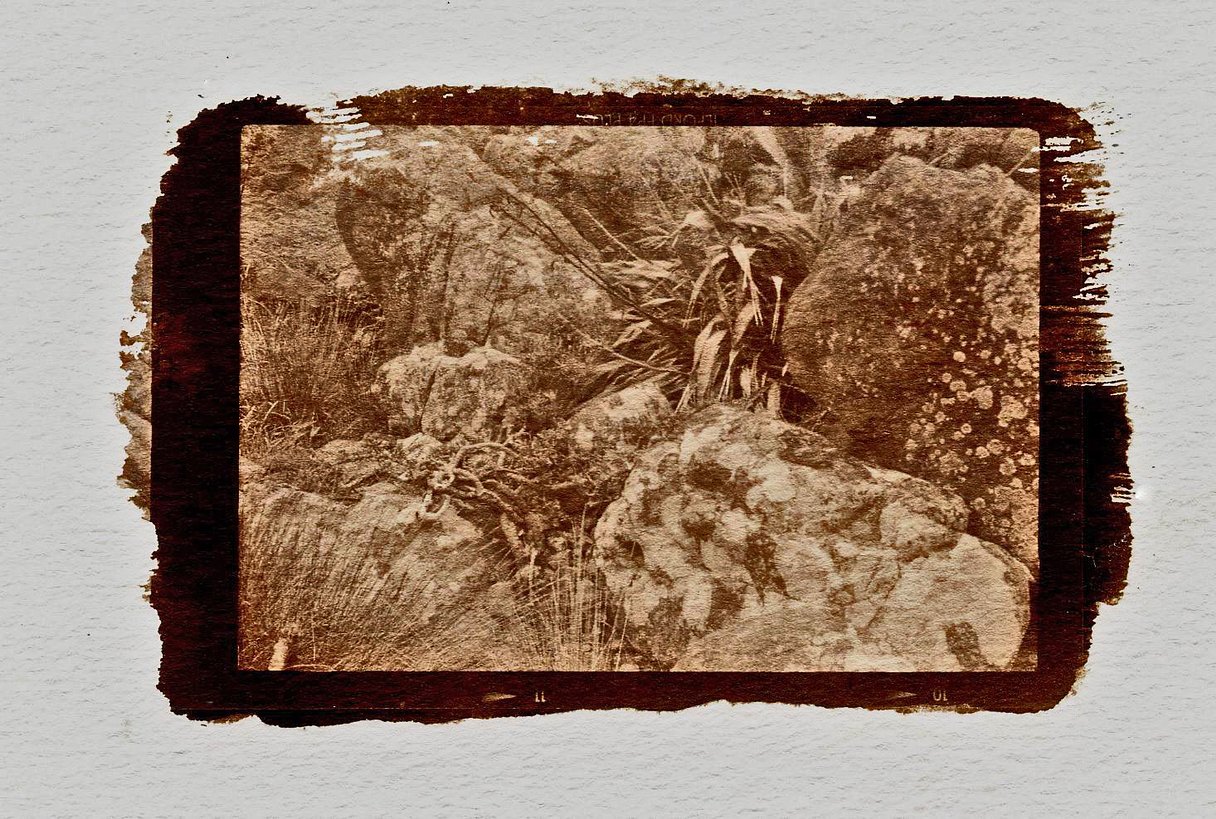Alternative Processes: How to Make Salt Prints · Lomography