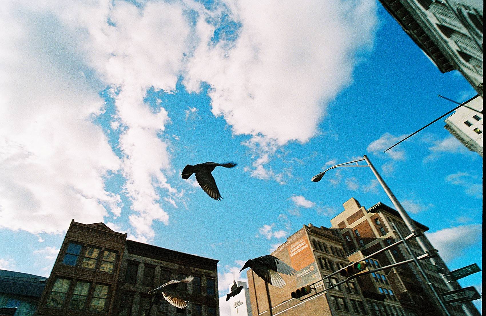 A Larger-Than-Life Perspective With the Atoll Ultra-Wide · Lomography
