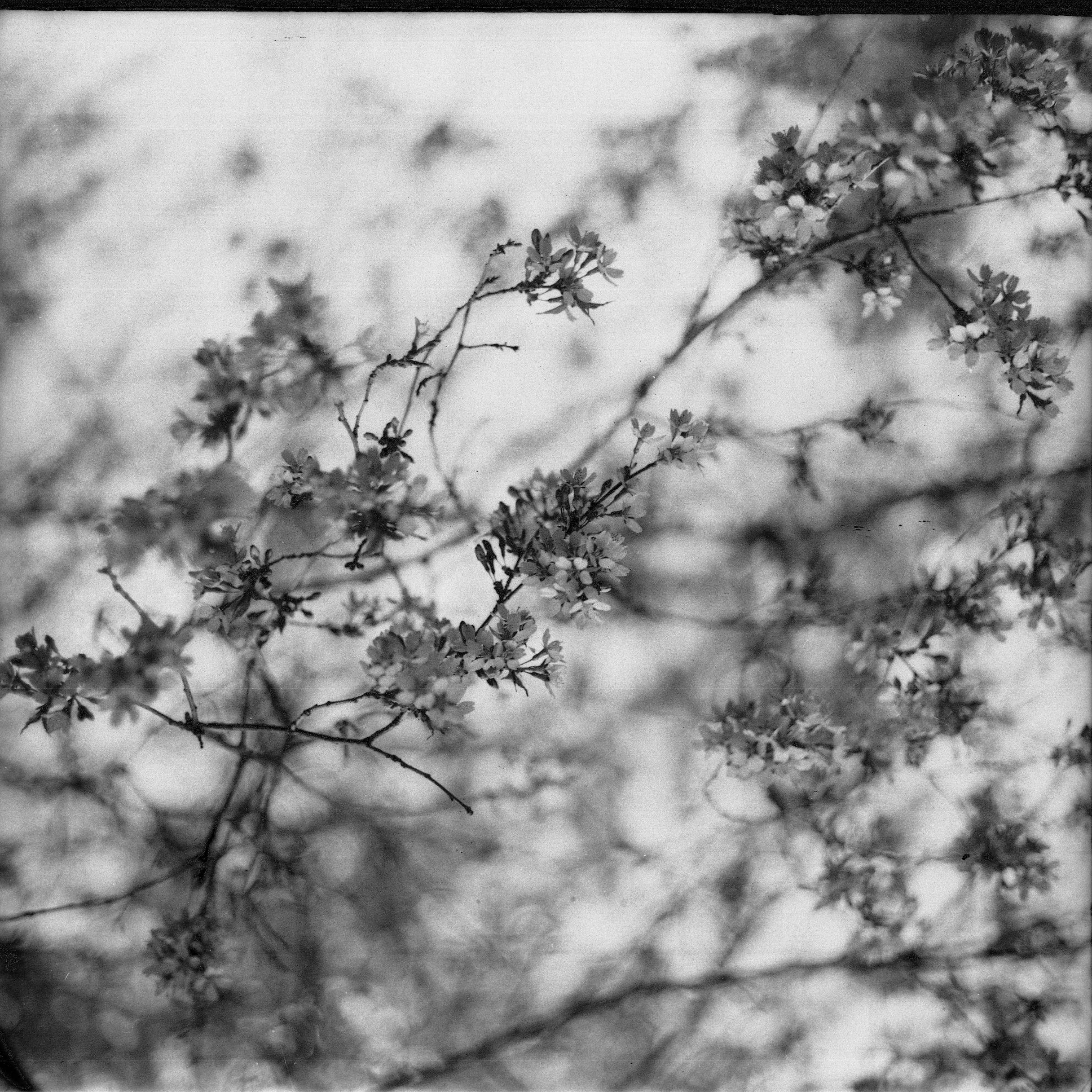 #27208797 — ergeo · Lomography