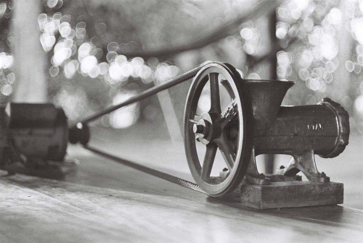 #23030142 — modern_nmt · Lomography