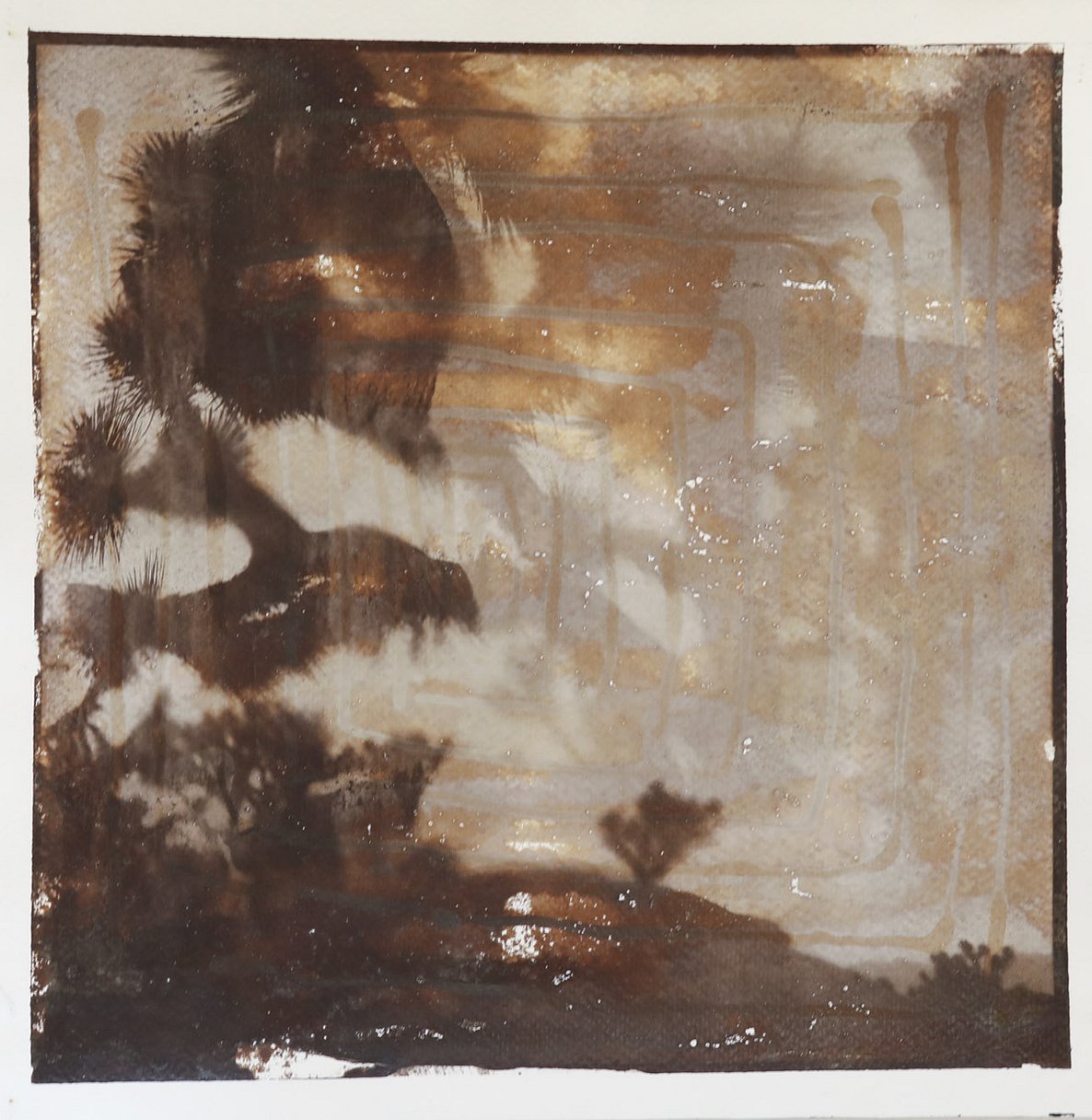 Alternative Printing Process: Albumen Print · Lomography