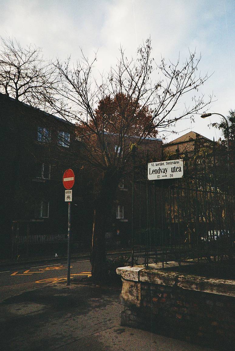 LomoAmigo: Burçin Esin · Lomography