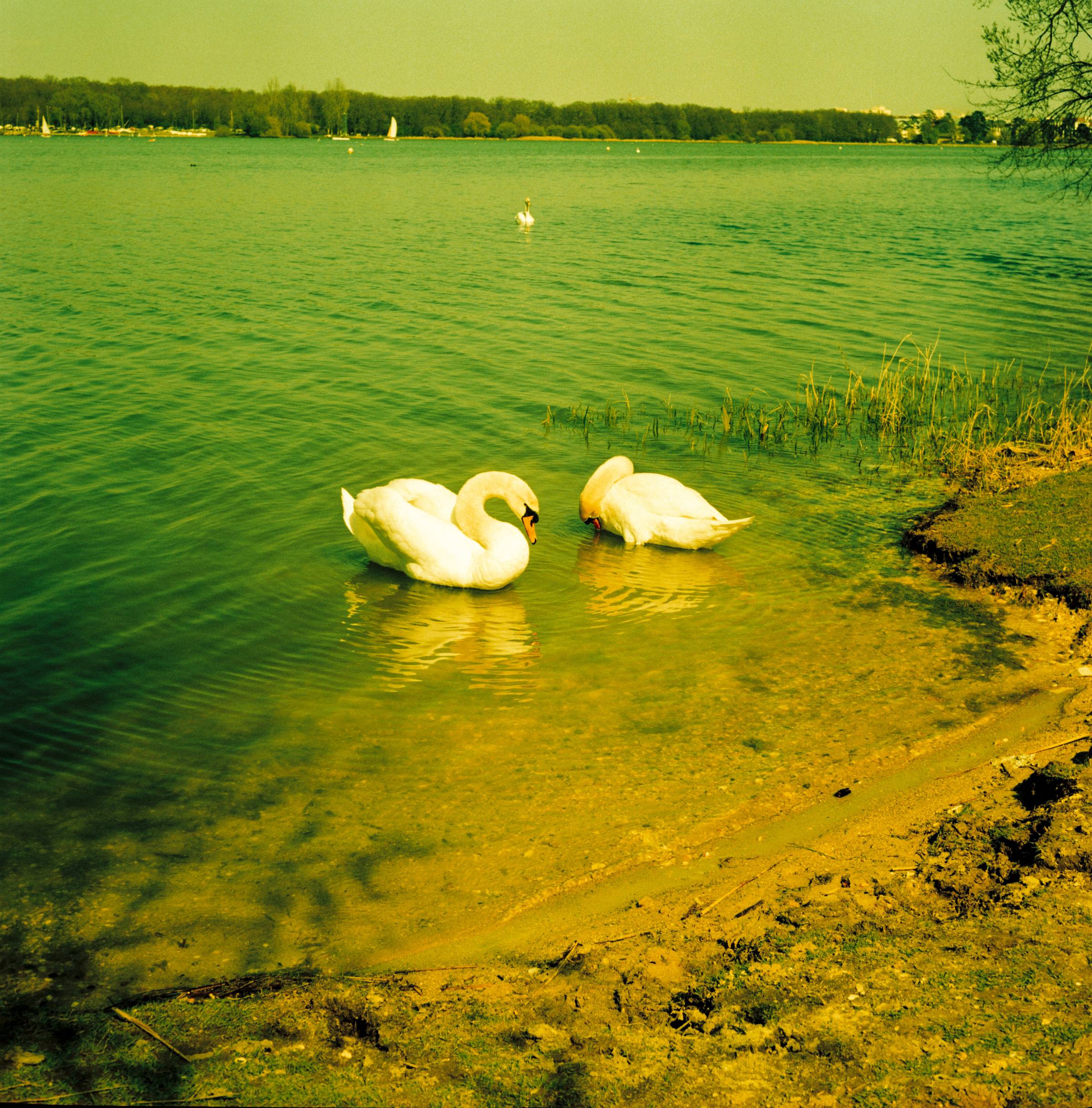 8 Intensely Luminous Slide Films for Lovers of Color · Lomography