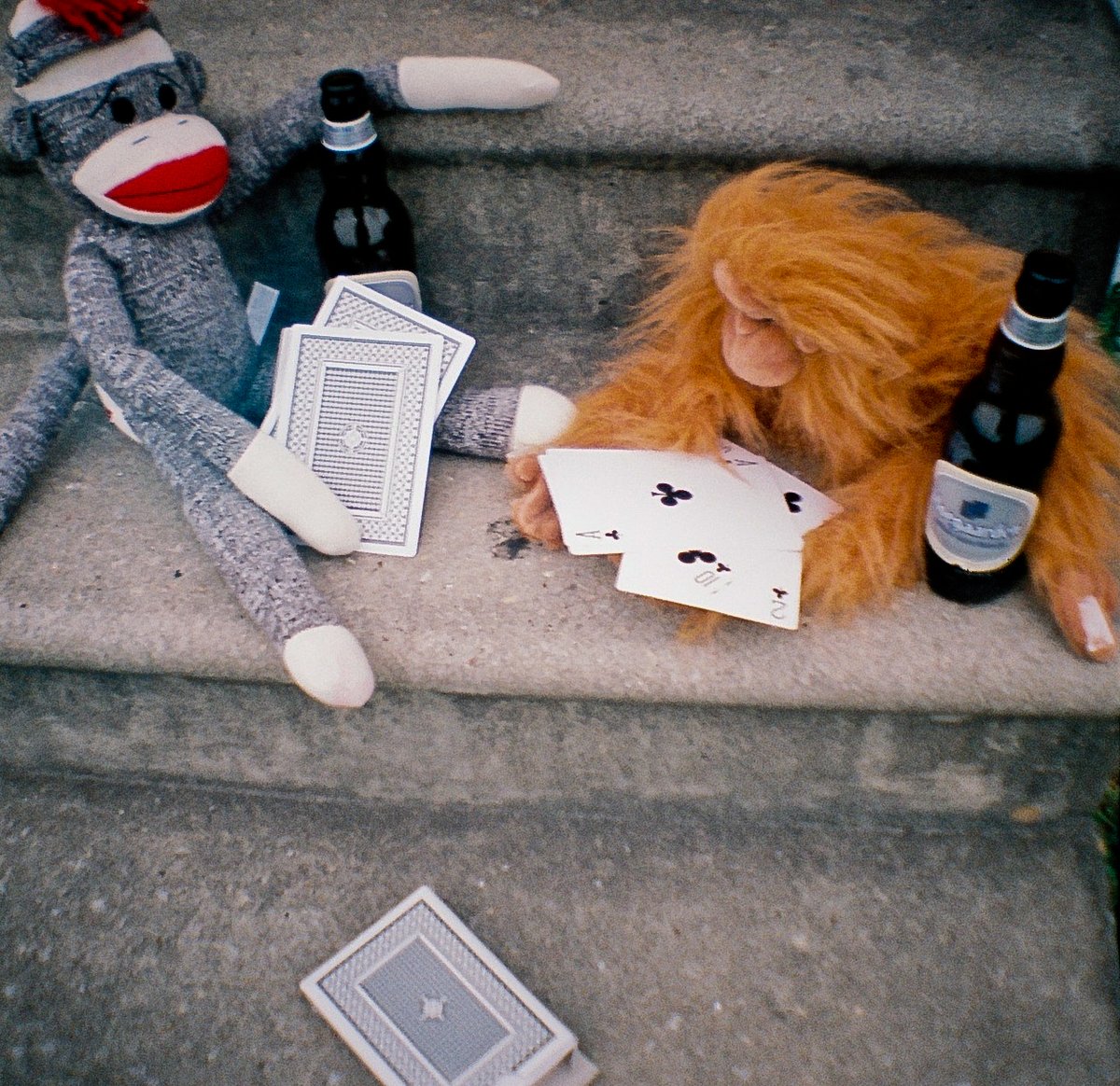 Monkey Trouble — gnarlyleech · Lomography