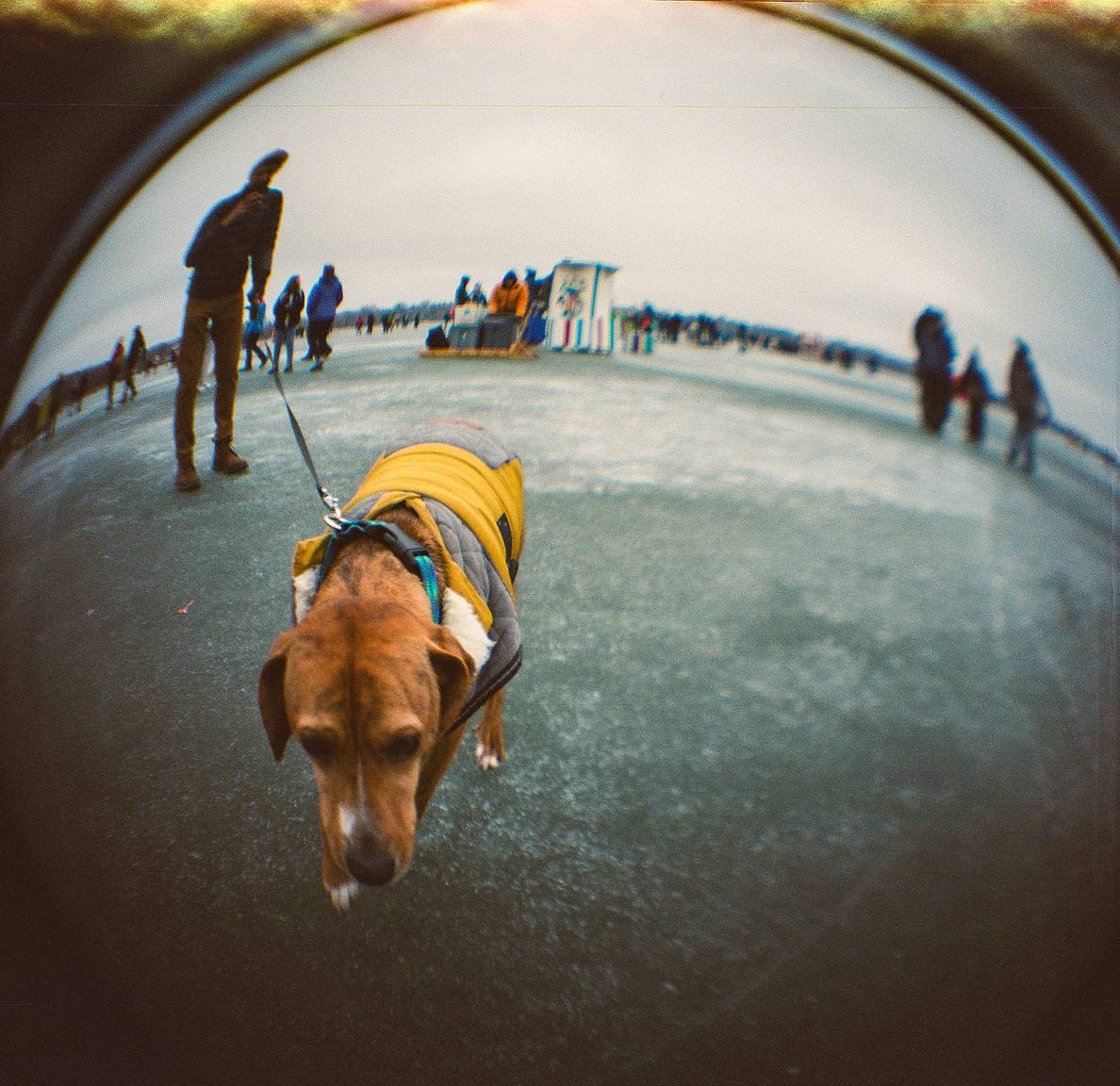 Bonni Walquist: Shooting Americana on Lomography Cameras · Lomography