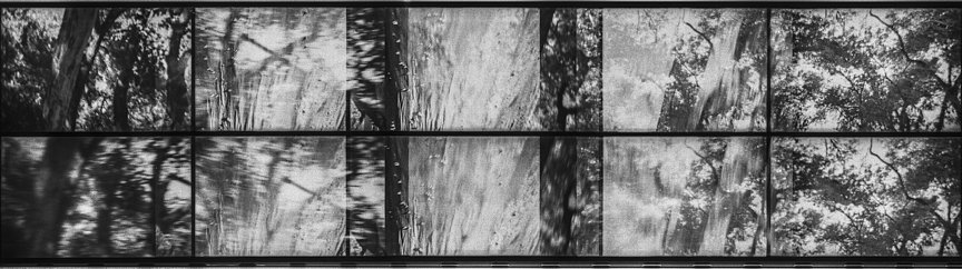 Camera: Quad Cam · Lomography
