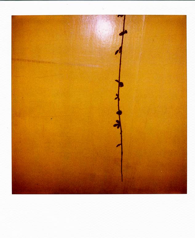 In-Depth: How Abstractionism Redefined the Meaning of Art · Lomography