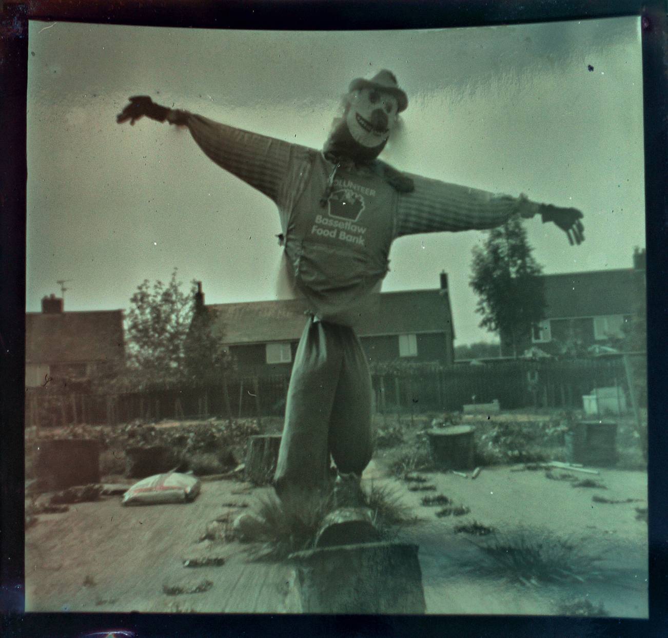 Folk Art Scarecrow in camera lumen — roaringtree · Lomography