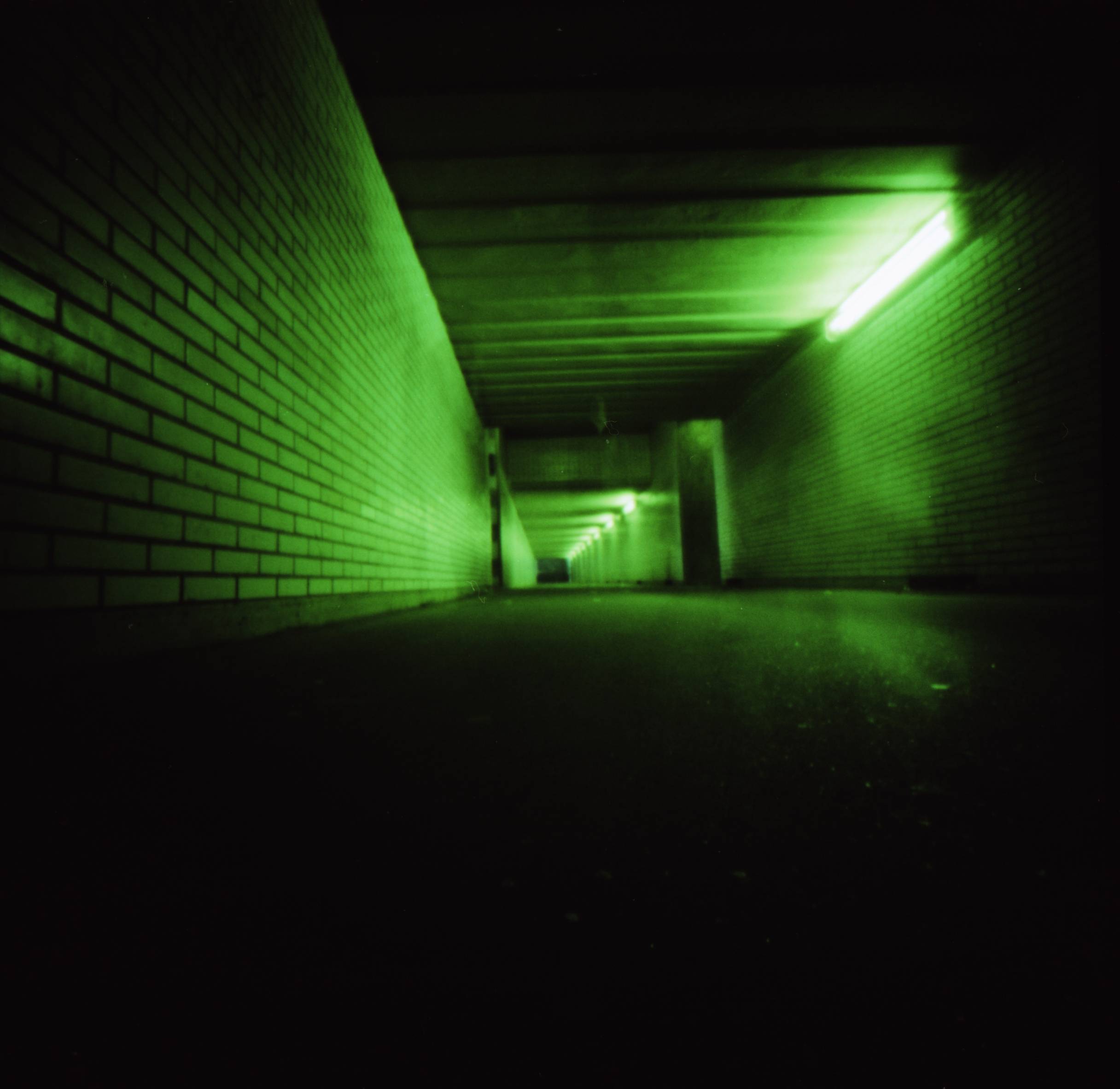 The Dreamiest Exposures Captured with the Diana F+ · Lomography