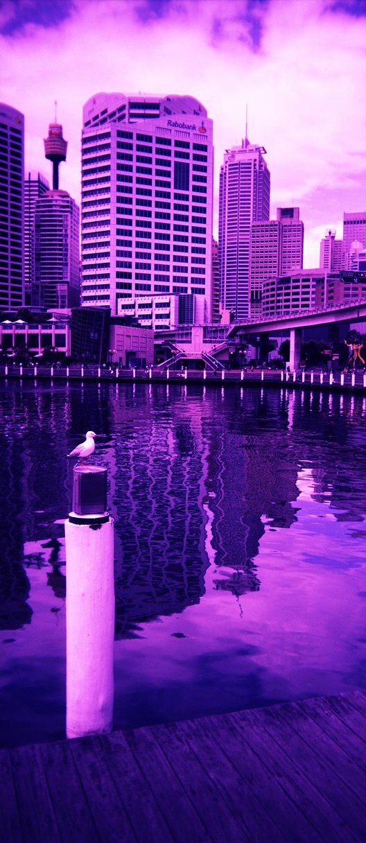 Holga 120 Pan: The Lightweight Panoramic Miracle · Lomography