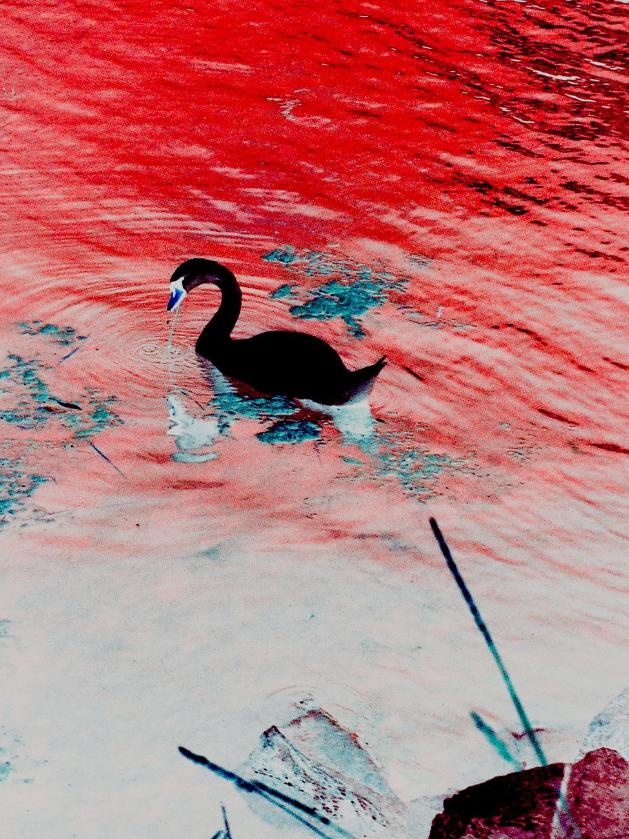 Lomography Awards: the TEN AND ONE 2024 Winners · Lomography