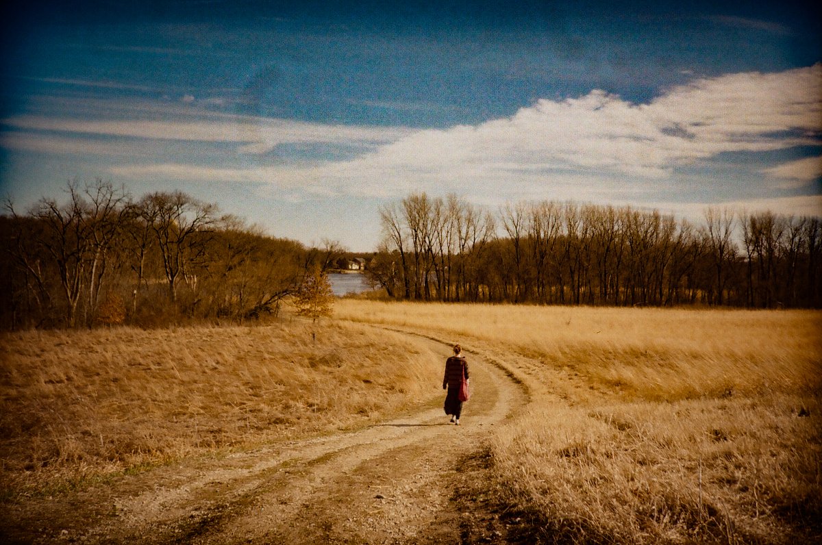 #29279736 — mchene · Lomography
