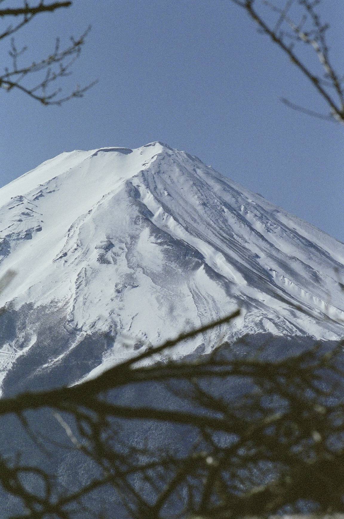 Mount Fuji and rest of Tokyo trip in Feb 2024 — elviswwk · Lomography