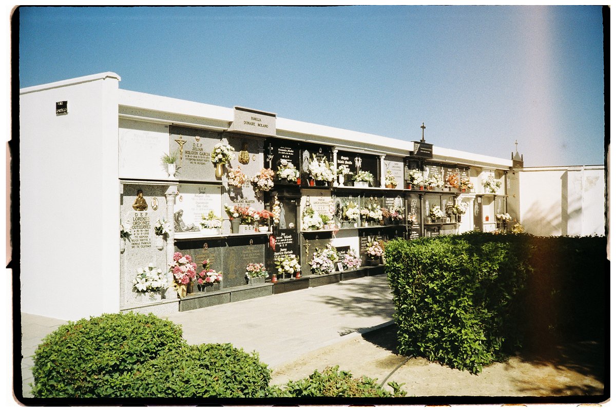 #27666073 — ancalu · Lomography