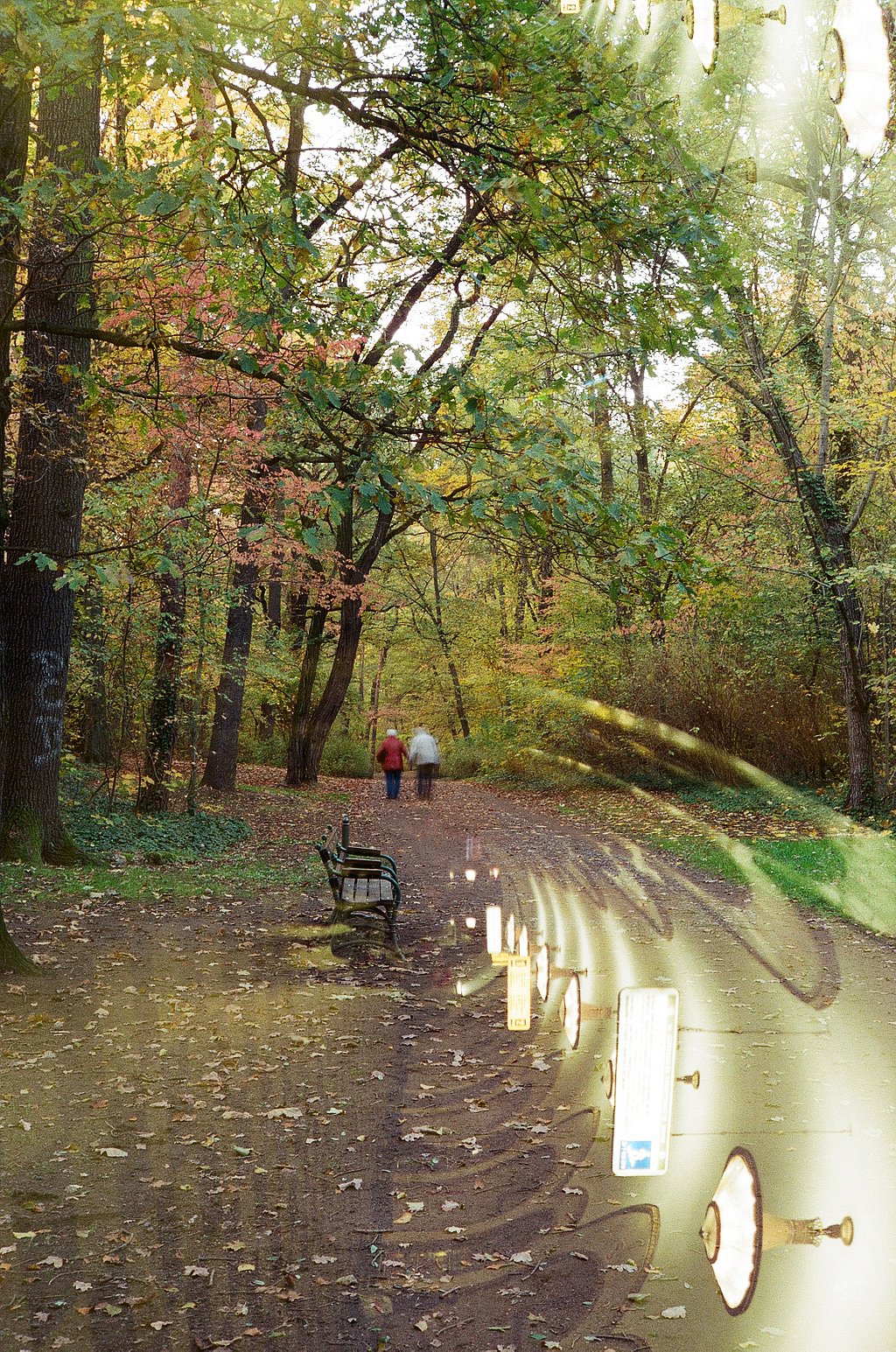Herbst in Dresden und Moskauer Metro im April. /… — · Lomography