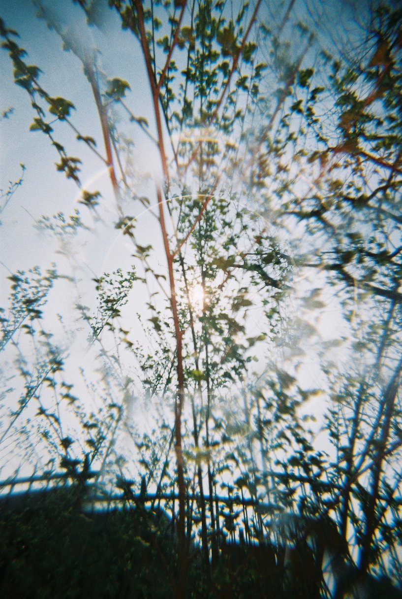 Tipster: How to Creatively Use the Kaleidoscope Filter · Lomography