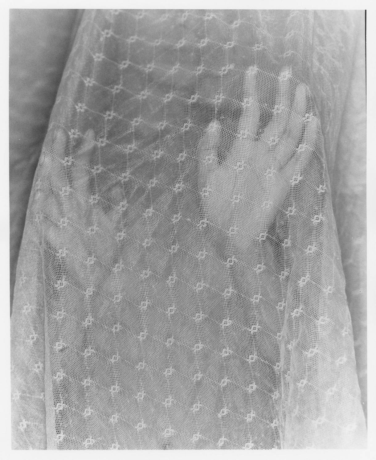 Artist Hui Choi on Showing Grief with Gentleness Through · Lomography