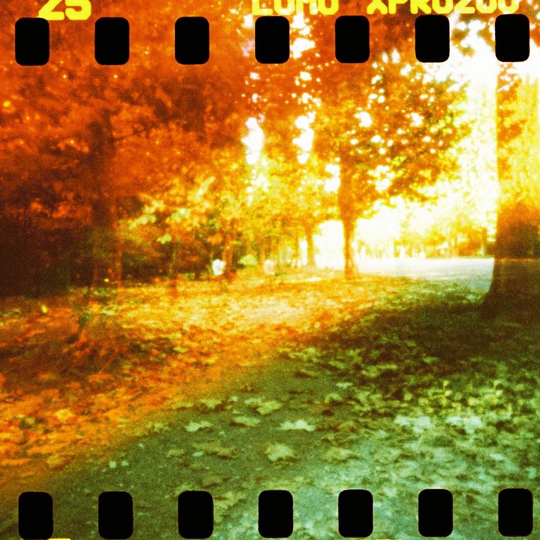 The Dreamiest Exposures Captured with the Diana F+ · Lomography