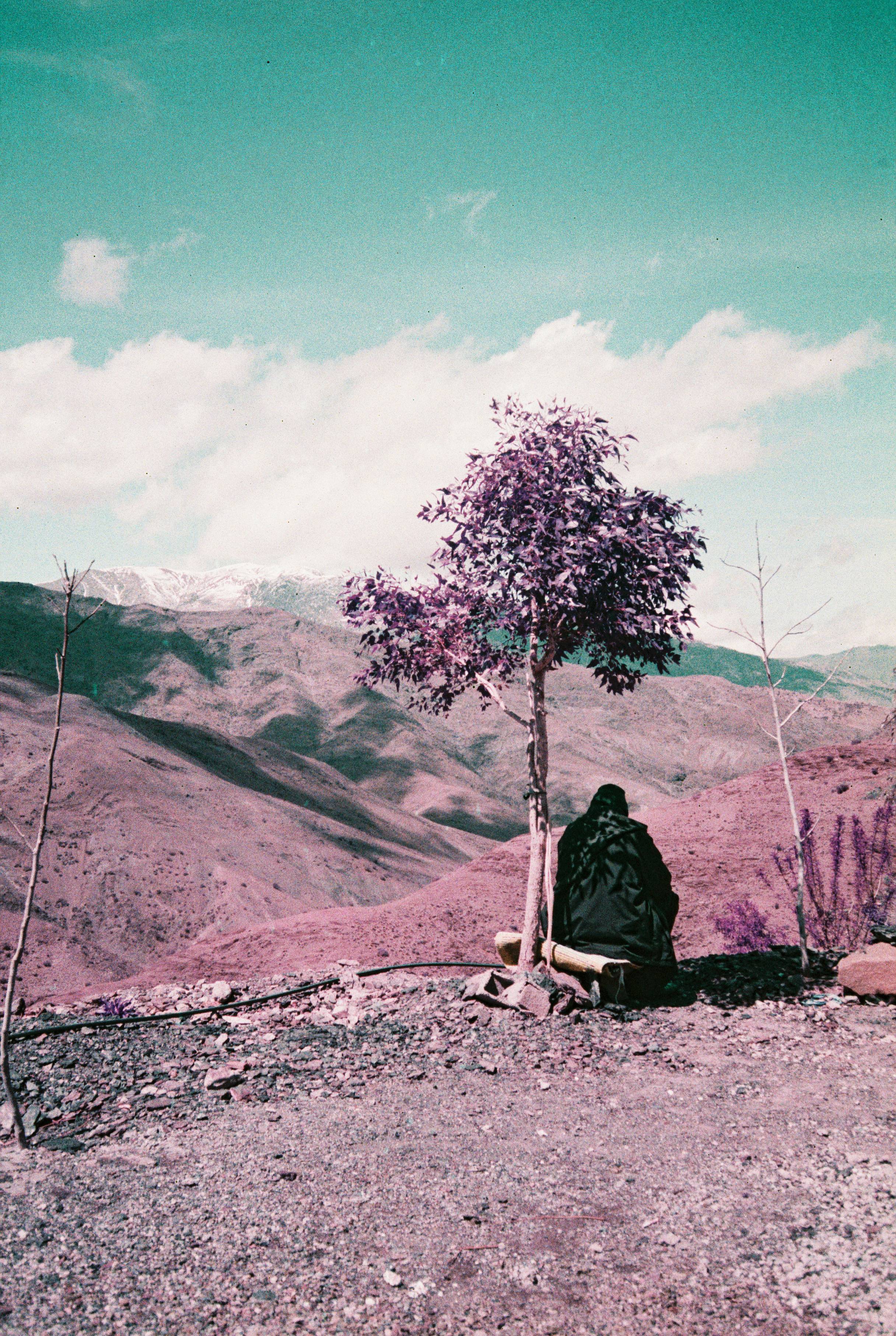 #27314354 — jckgmrk · Lomography