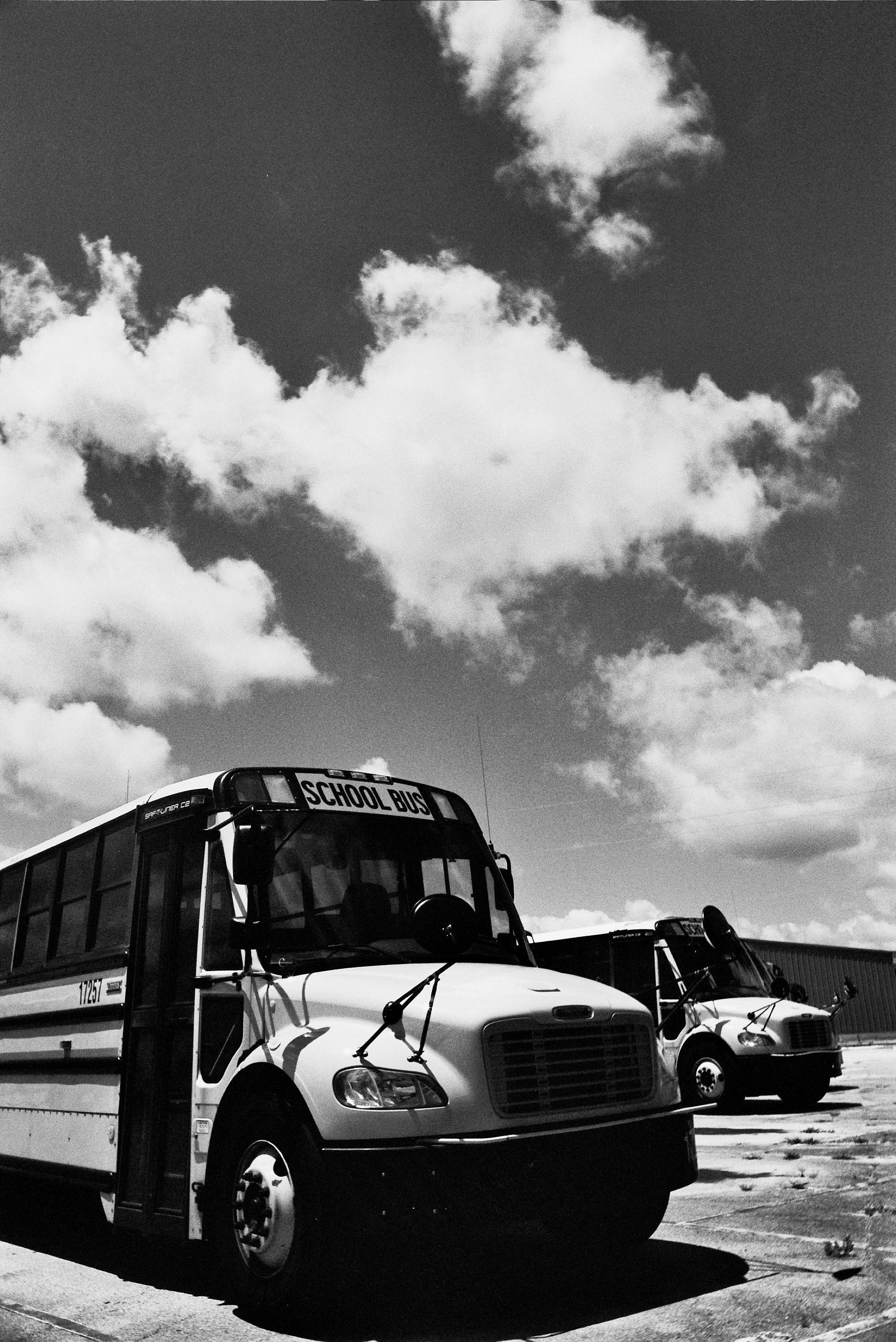 #29545226 — mschemel62 · Lomography