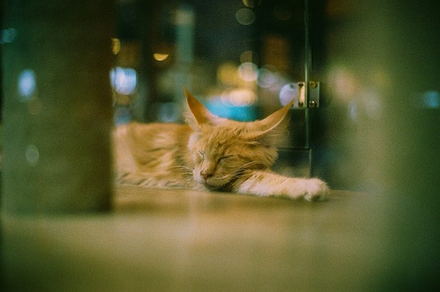 【用 Lomography 800 演繹舊式香港風情】街頭攝影師 ＠komorebi_filmfoto 專訪 · Lomography