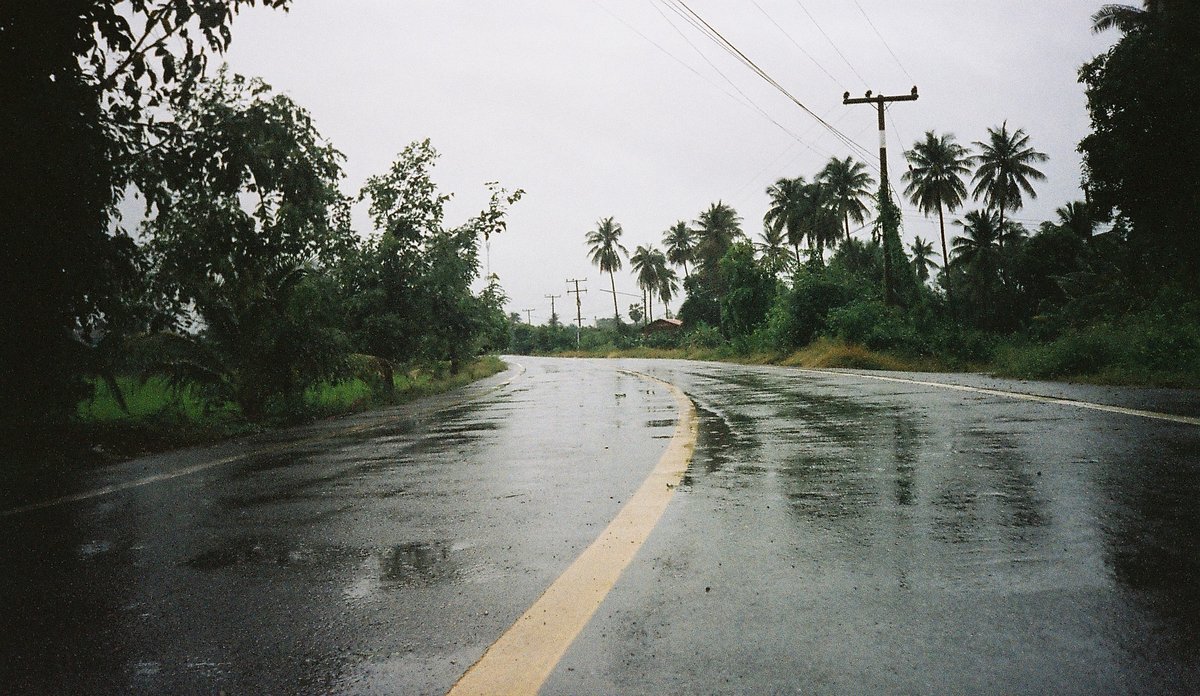 #24587612 — modern_nmt · Lomography