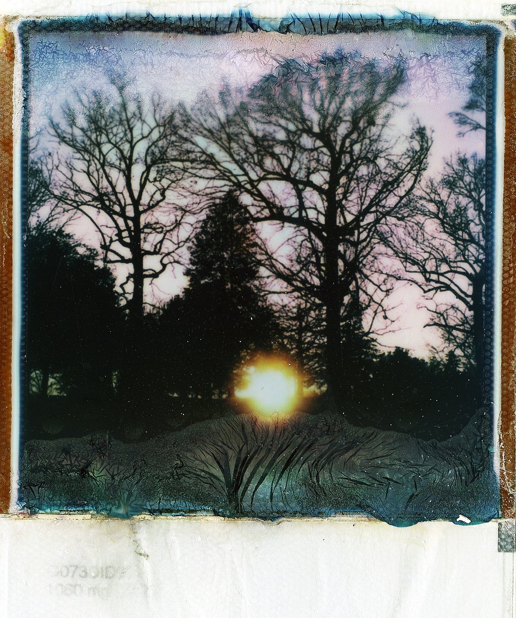 Poetry and Polaroid Film Soups – the Lyrical Work of · Lomography