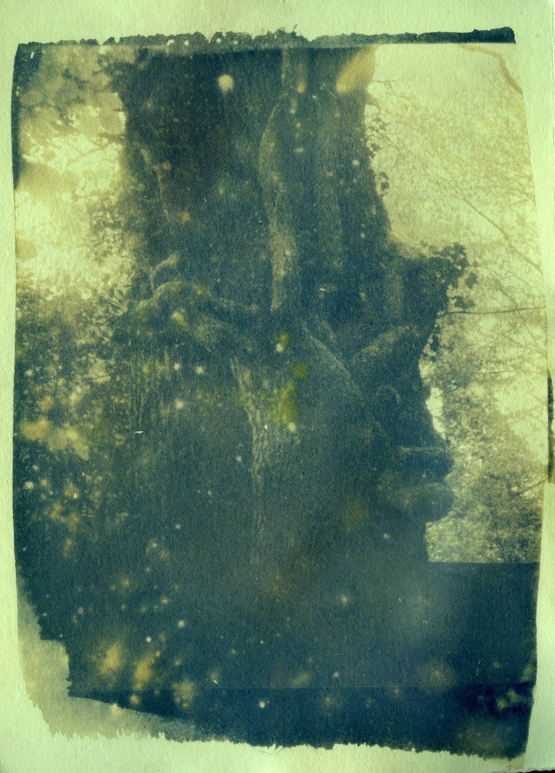Tipster: Tinting and Staining Cyanotypes · Lomography