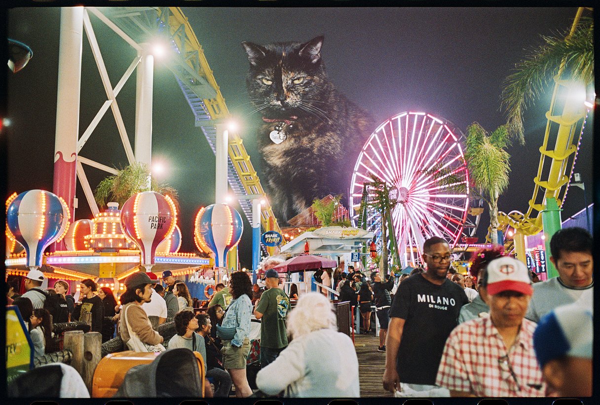 Lomography Awards: the TEN AND ONE 2024 Winners · Lomography