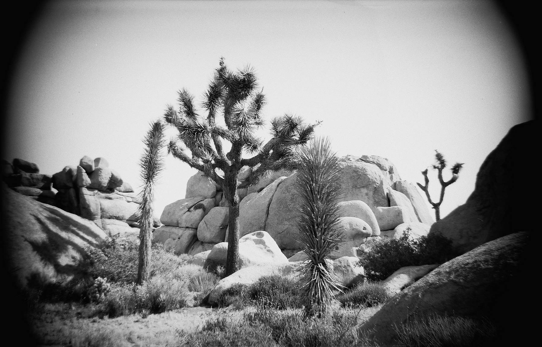The Life and Death of 127 Film · Lomography