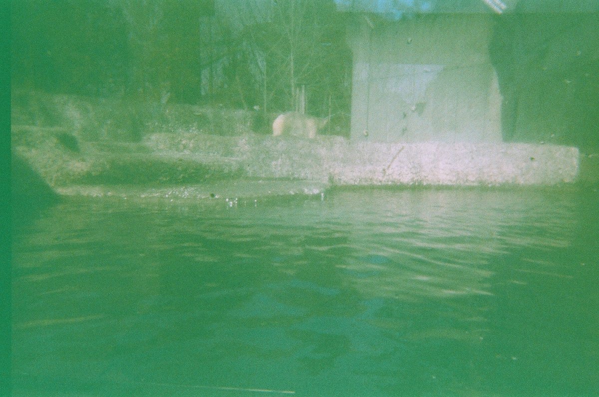 #24091527 — badkit · Lomography