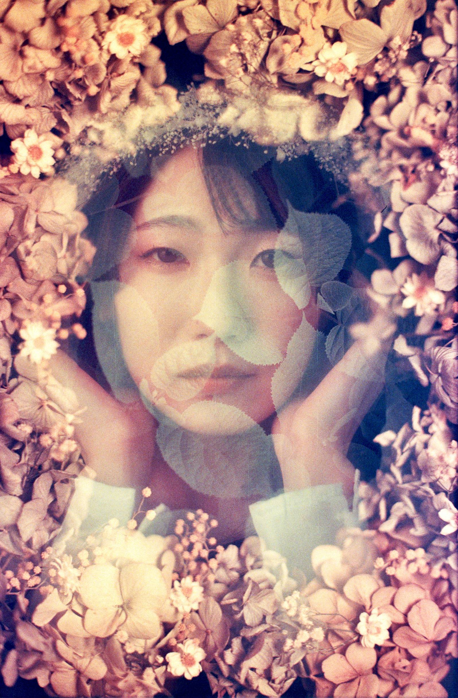 Flowers in Wonderland: Multiple Exposures by Yuki · Lomography
