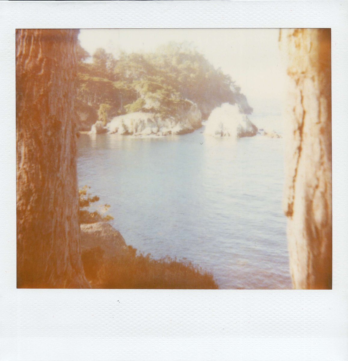 Point Lobos Reserve w/ Softone Classic Image — koduckgirl · Lomography