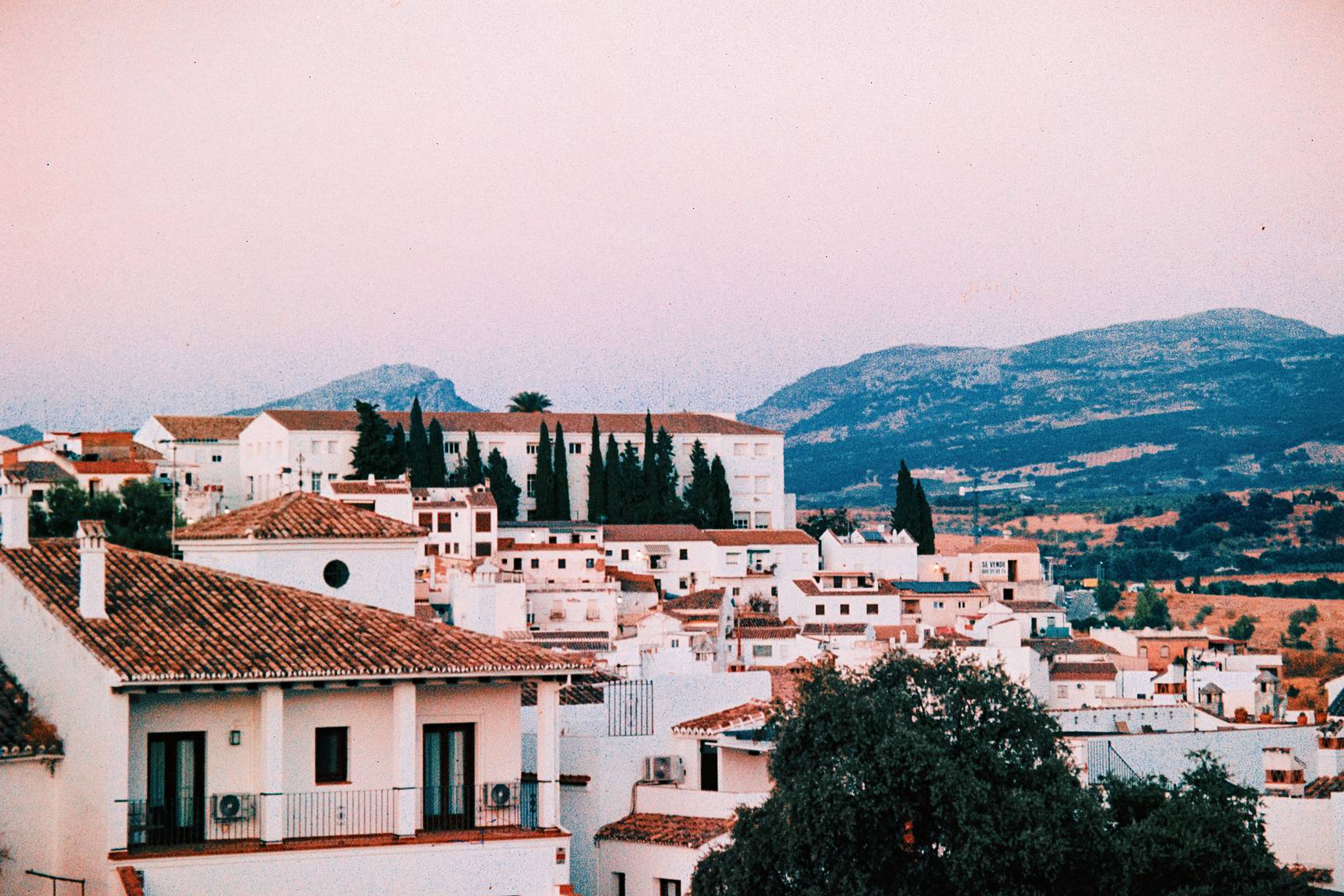 Streets of Andalusia: David Picerno’s First Roll of · Lomography