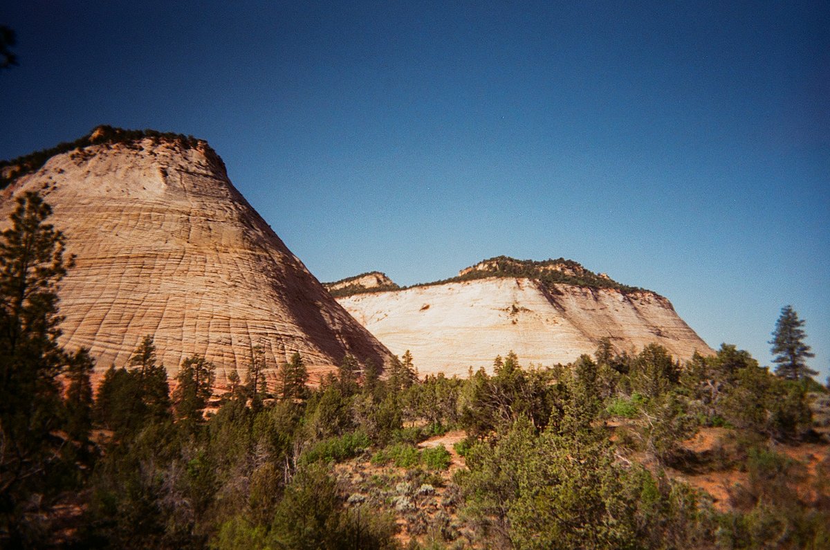 37. Ancient Scars — richanddfamous · Lomography