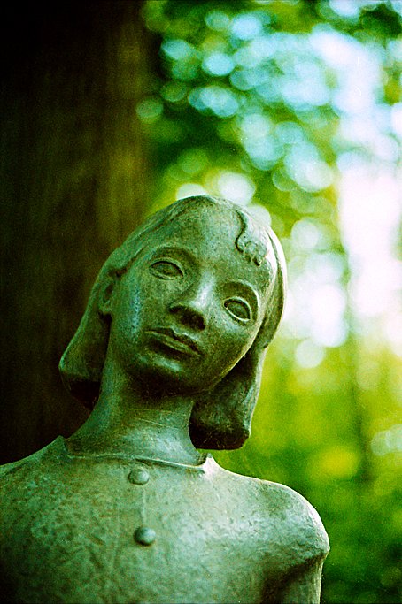 #20641023 — mushbrain · Lomography