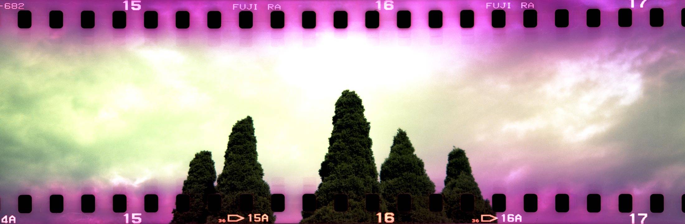 Holga 120 Pan: The Lightweight Panoramic Miracle · Lomography