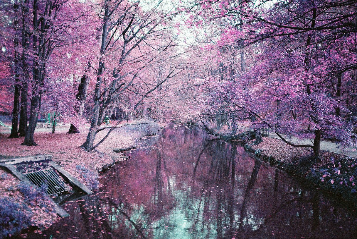 Dalke — ralf_westerfellhaus · Lomography