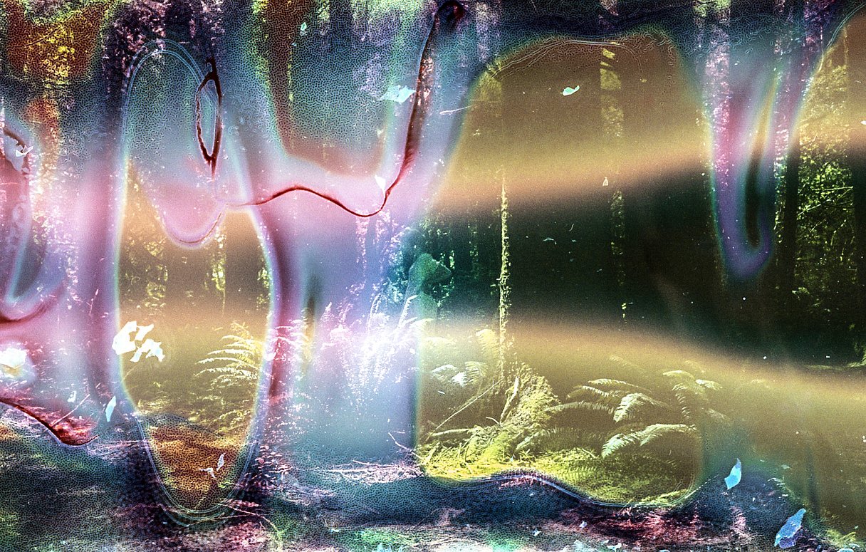 A Californian Lemonade Infused Film Soup With Katie Small · Lomography