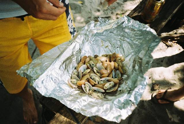 Samsung Prime Color 35mm 100 ISO: A User Review · Lomography