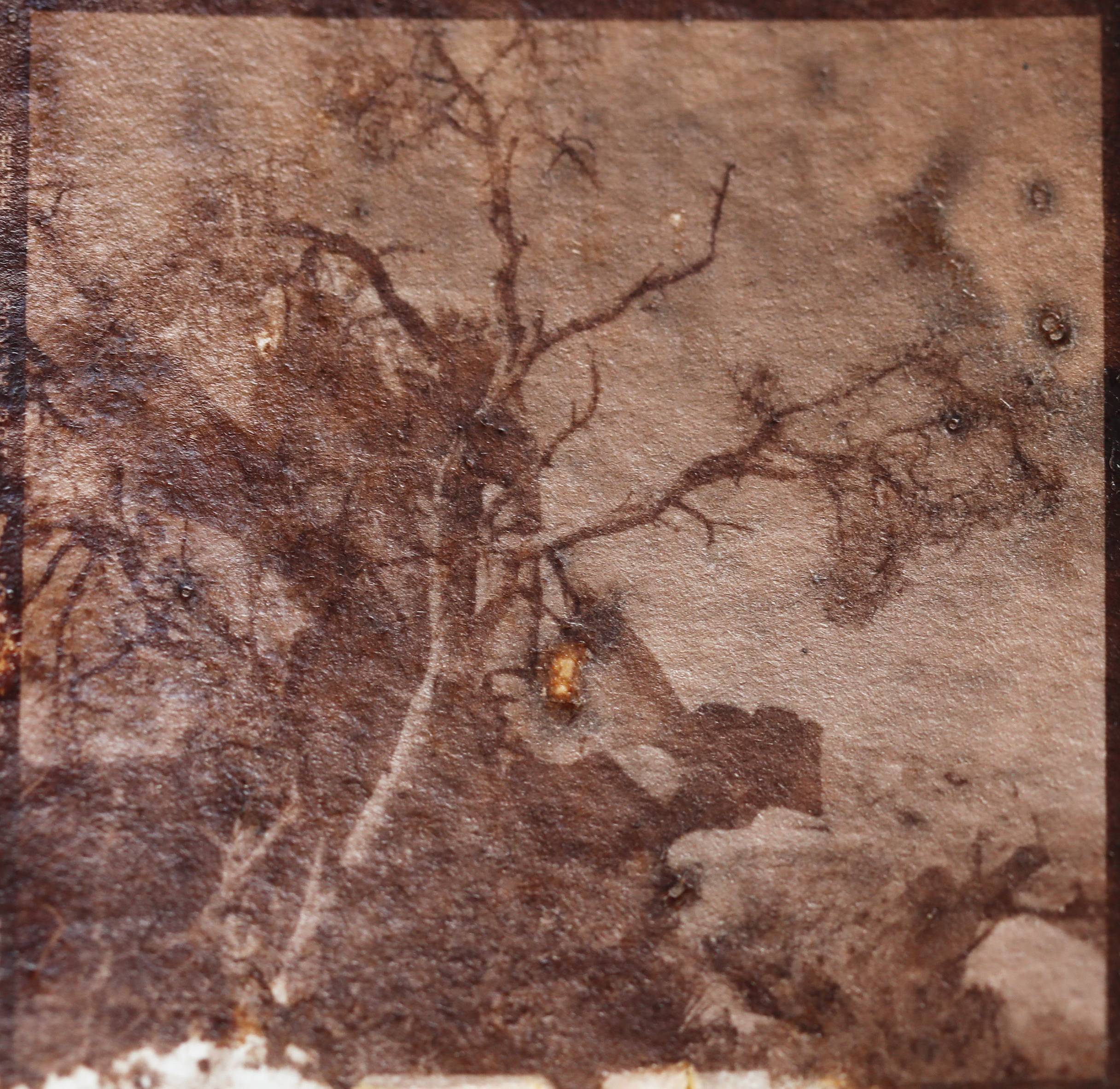 Alternative Printing Process: Albumen Print · Lomography