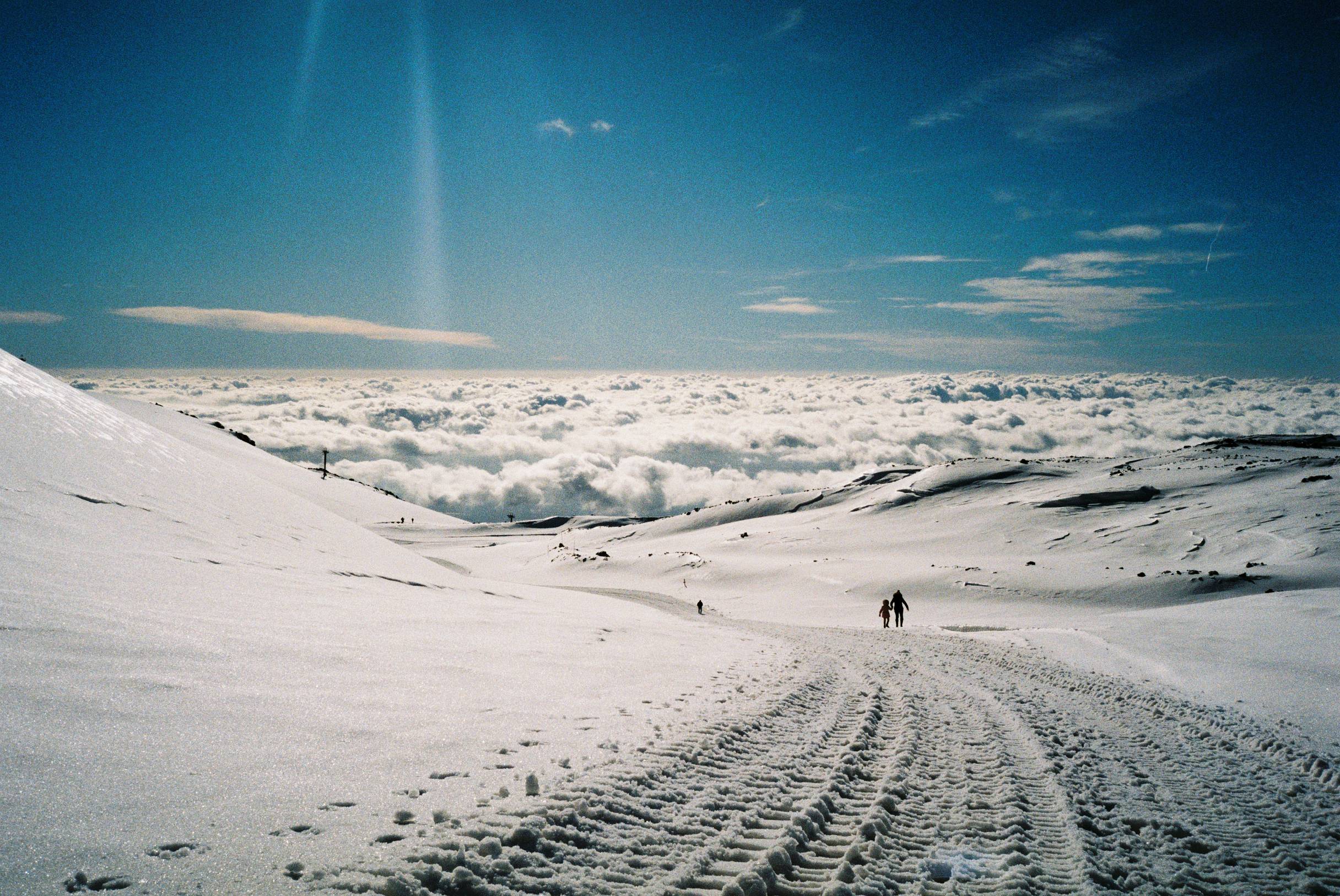 Lomography Awards: the TEN AND ONE 2024 Winners · Lomography