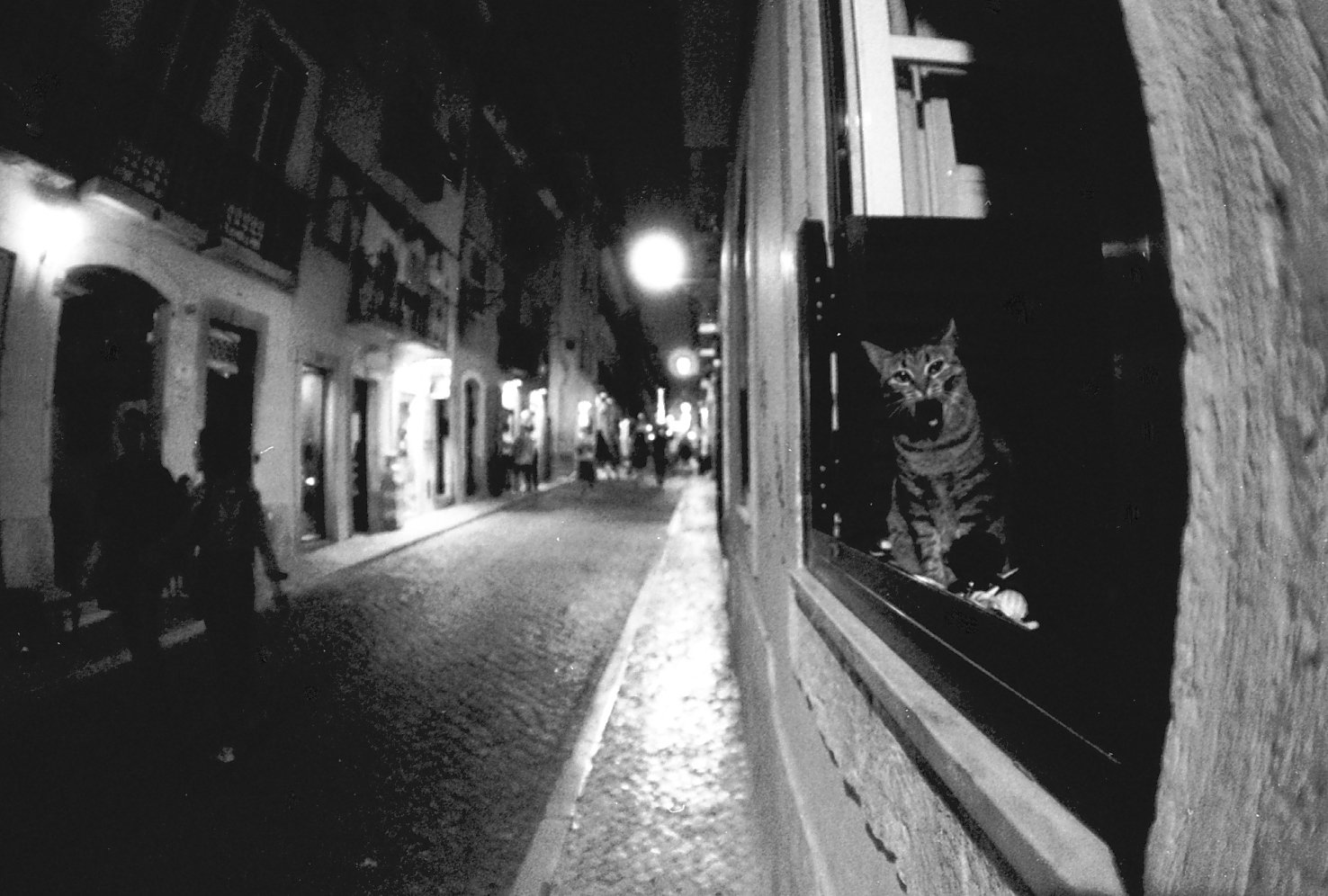 #14893861 — jeabzz · Lomography