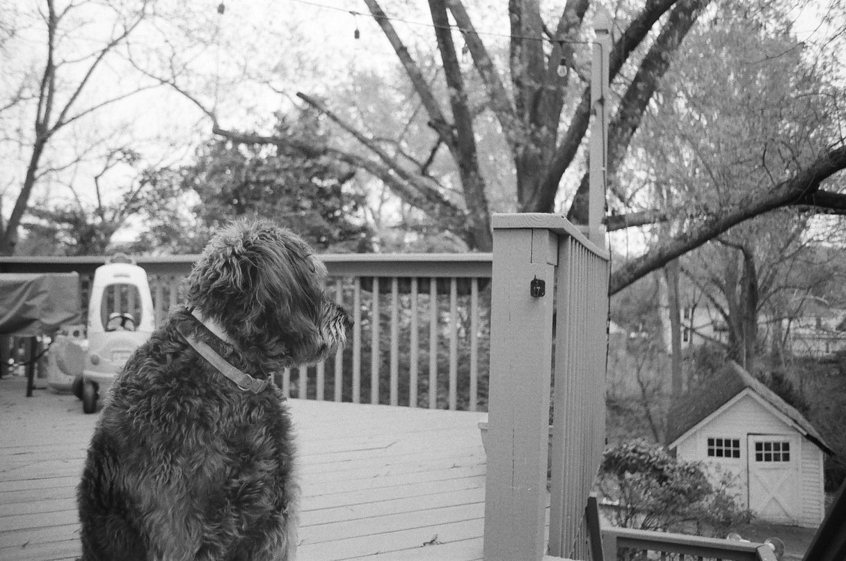 The watcher. — unenthused · Lomography