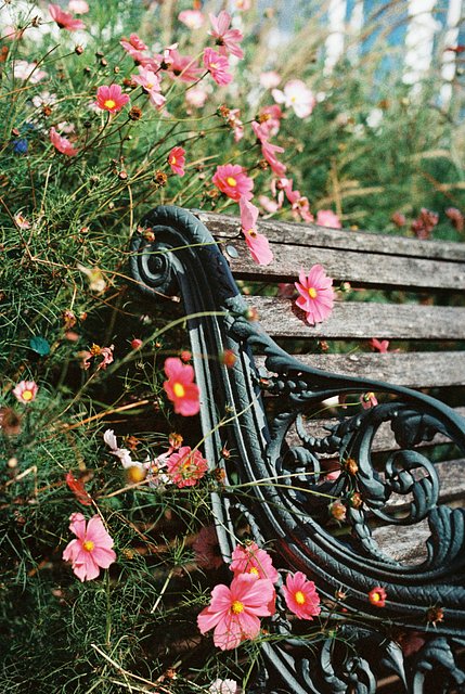 Birmingham Botanical Gardens: Kate Hook Shoots with the · Lomography